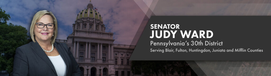 Understanding Pennsylvania Elections: Answers to Your Most Common ...